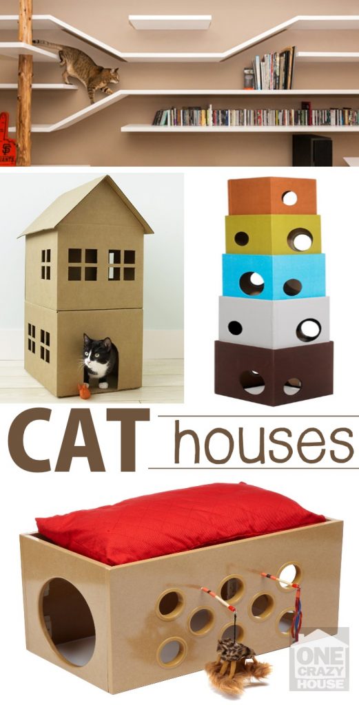 For all the Cat Lovers Out There.