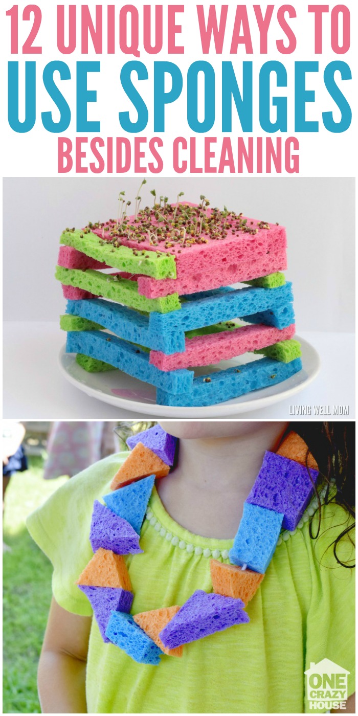 12 Unique Ways to Use Sponges Besides Cleaning