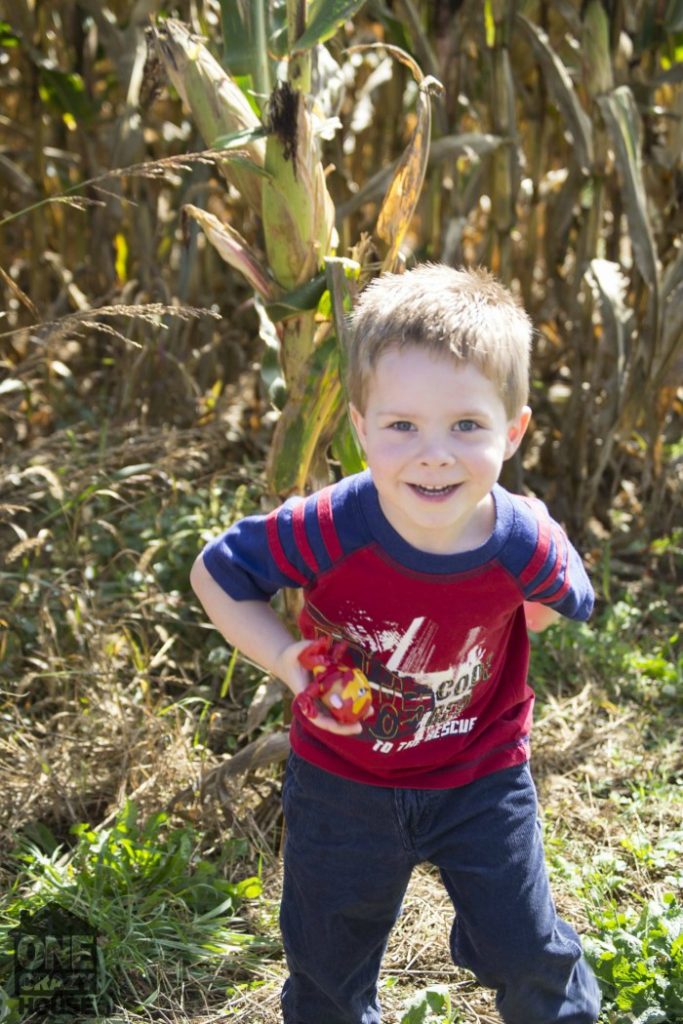 16 Fun Things to Do With the Family This Fall