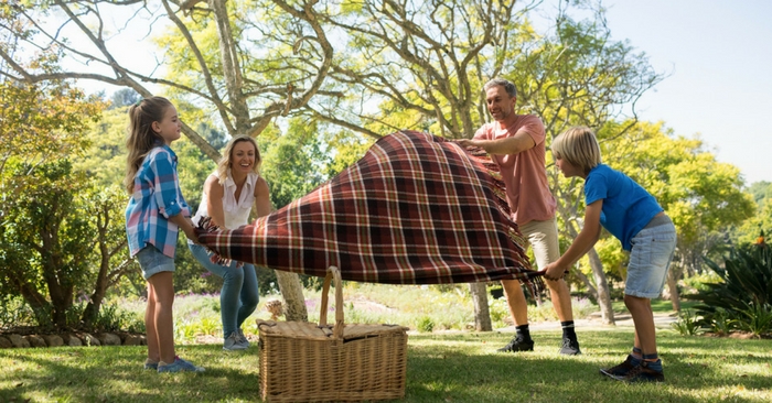 Super Simple Picnic Ideas for Summer Family Outings
