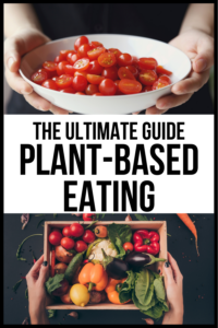 Plant-Based Diet: The Beginners Guide