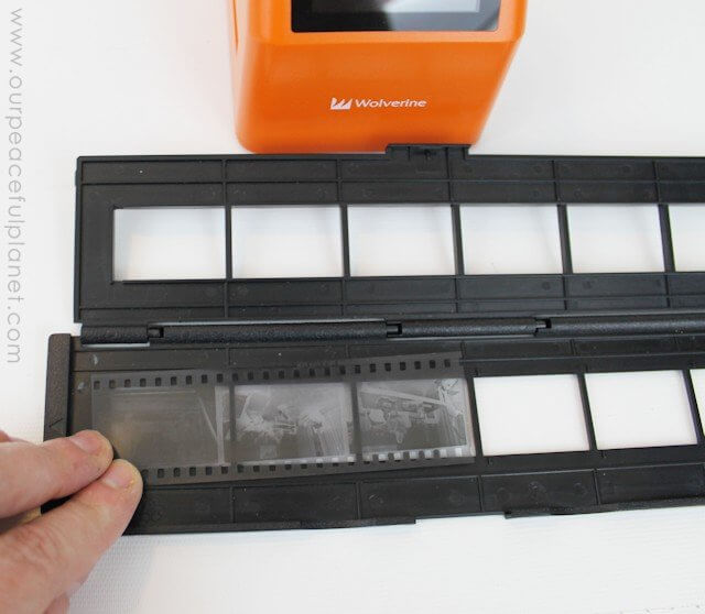 14 Simple Tips and Tricks to Organize Your Photos