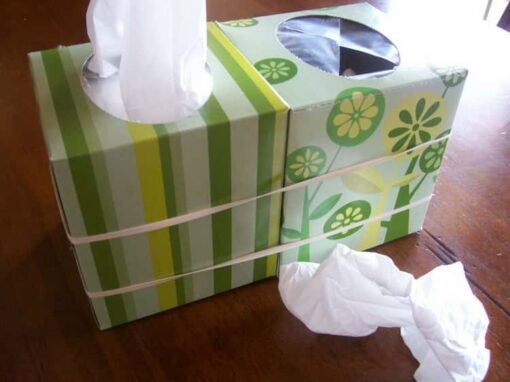 19 Great Ideas for Empty Tissue Boxes