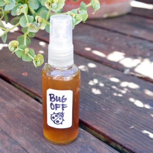 15 Simple Natural Pest Control Ideas That Really Work!
