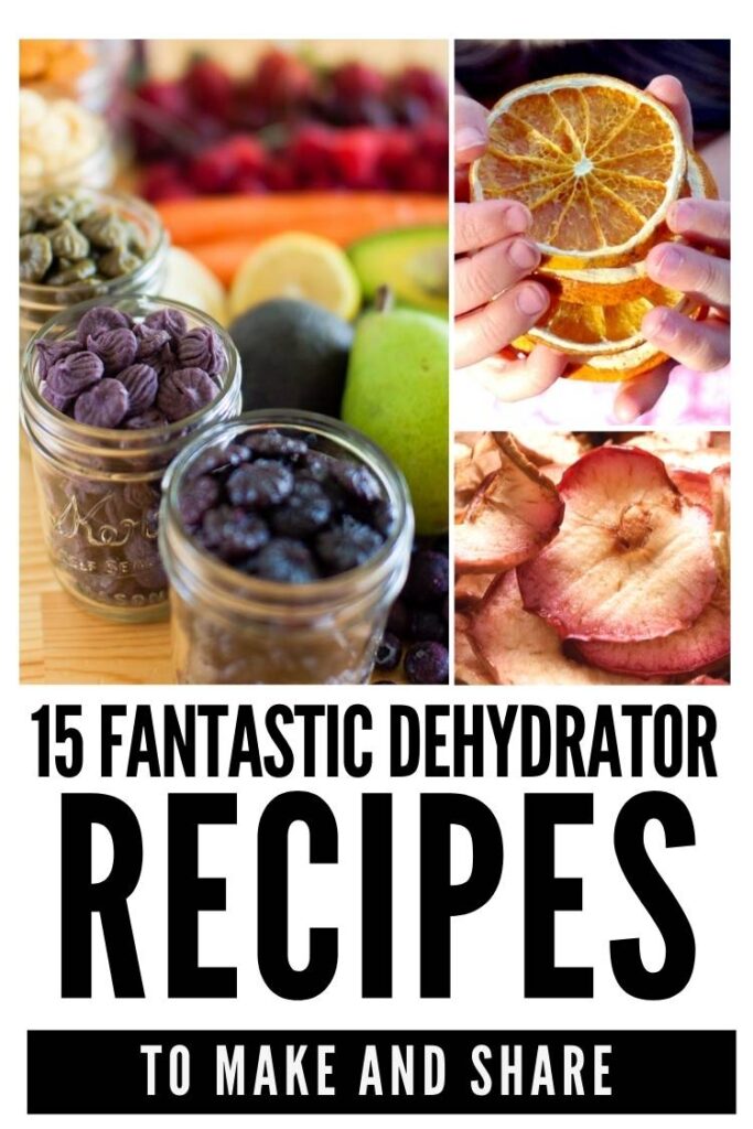 Dried Fruit + More Tasty Food Dehydrator Recipes